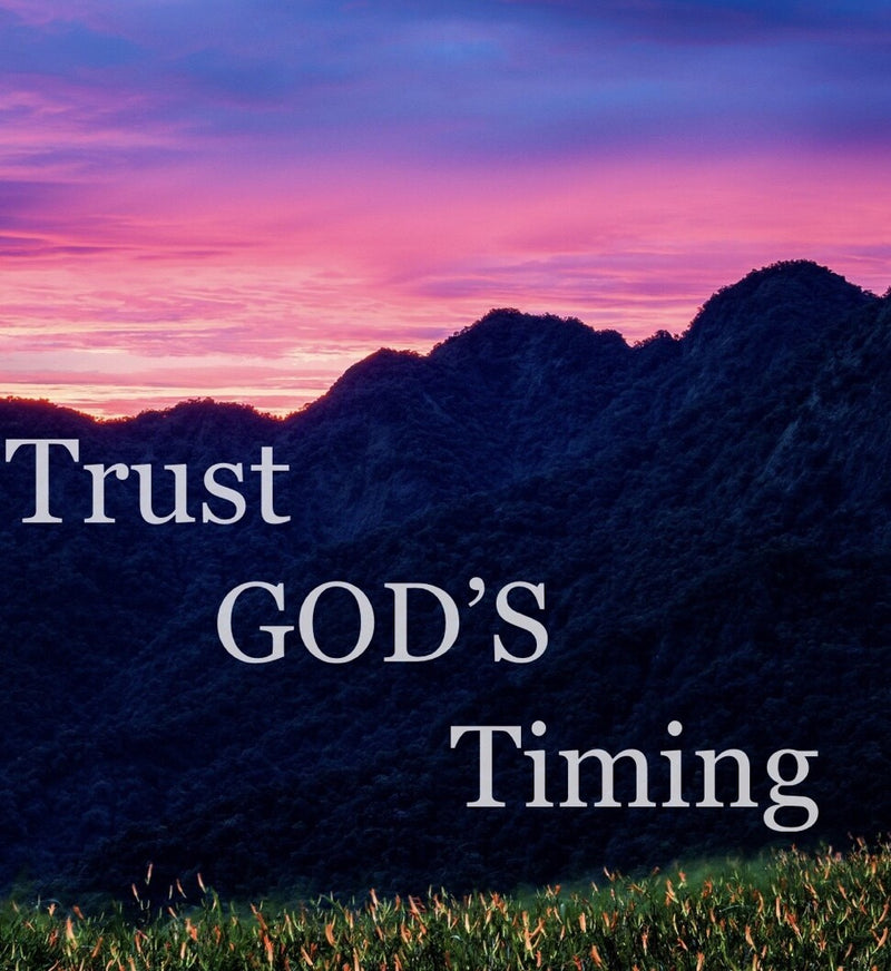 Trust God's Timing – Handes of a Woman